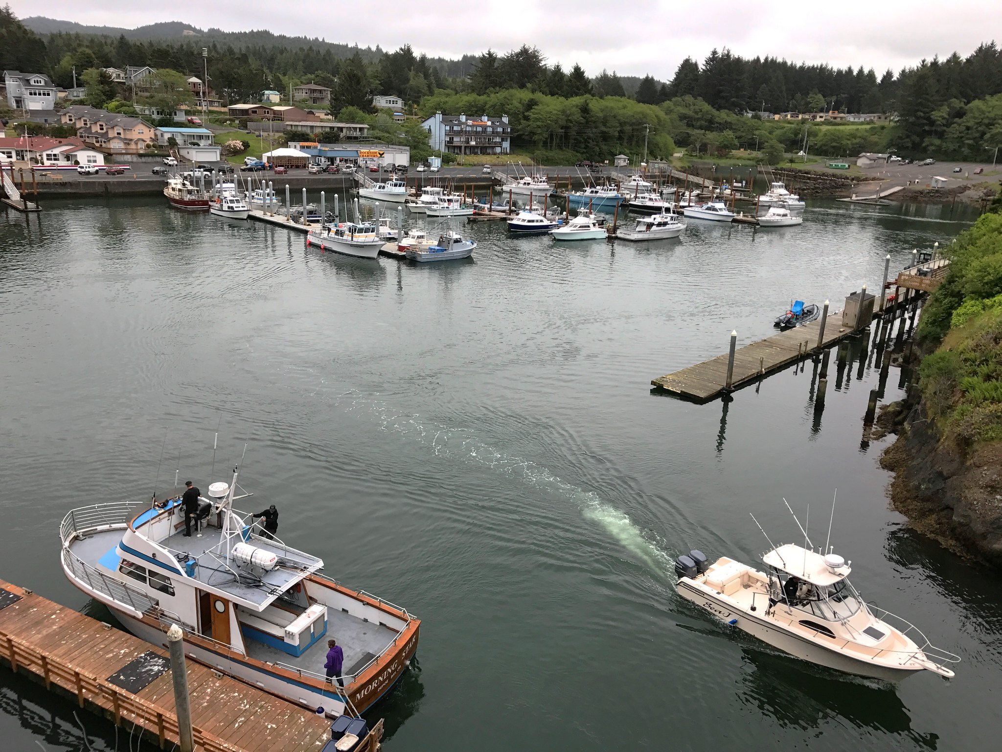 The Magnuson-Stevens Act - Fisheries Forward