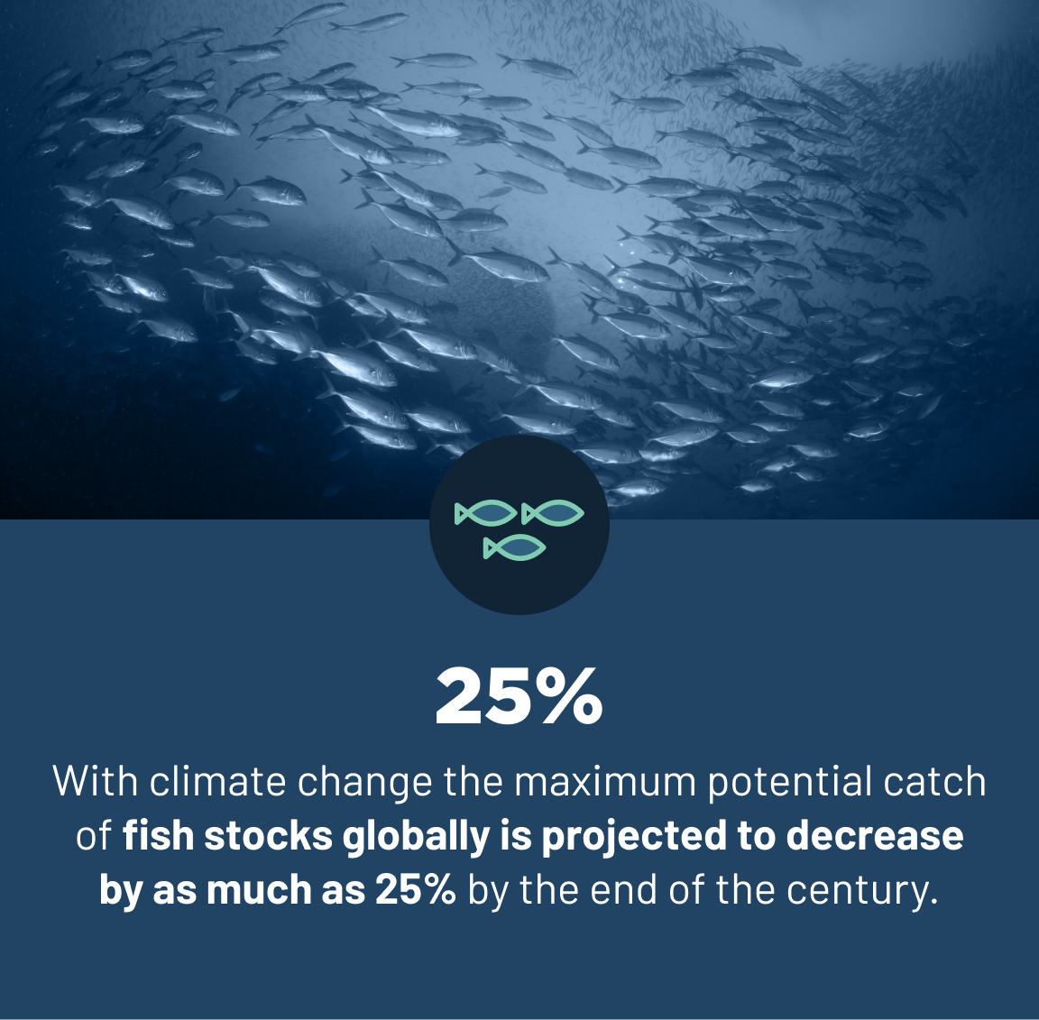 Home - Fisheries Forward